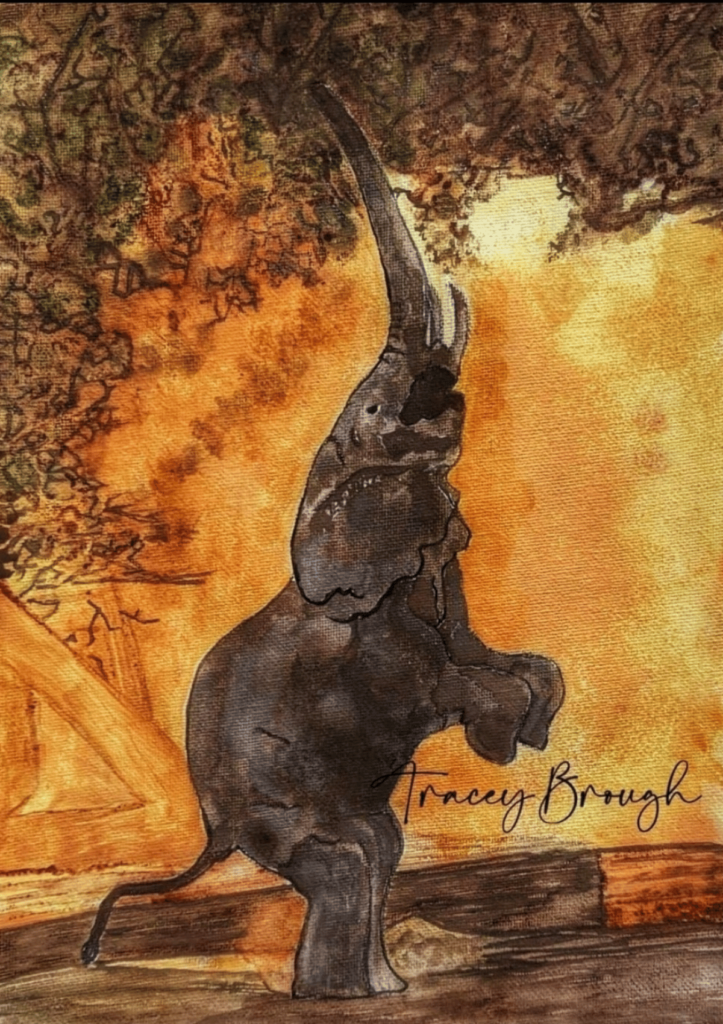 Elephant from the Serengeti – Tracey Brough